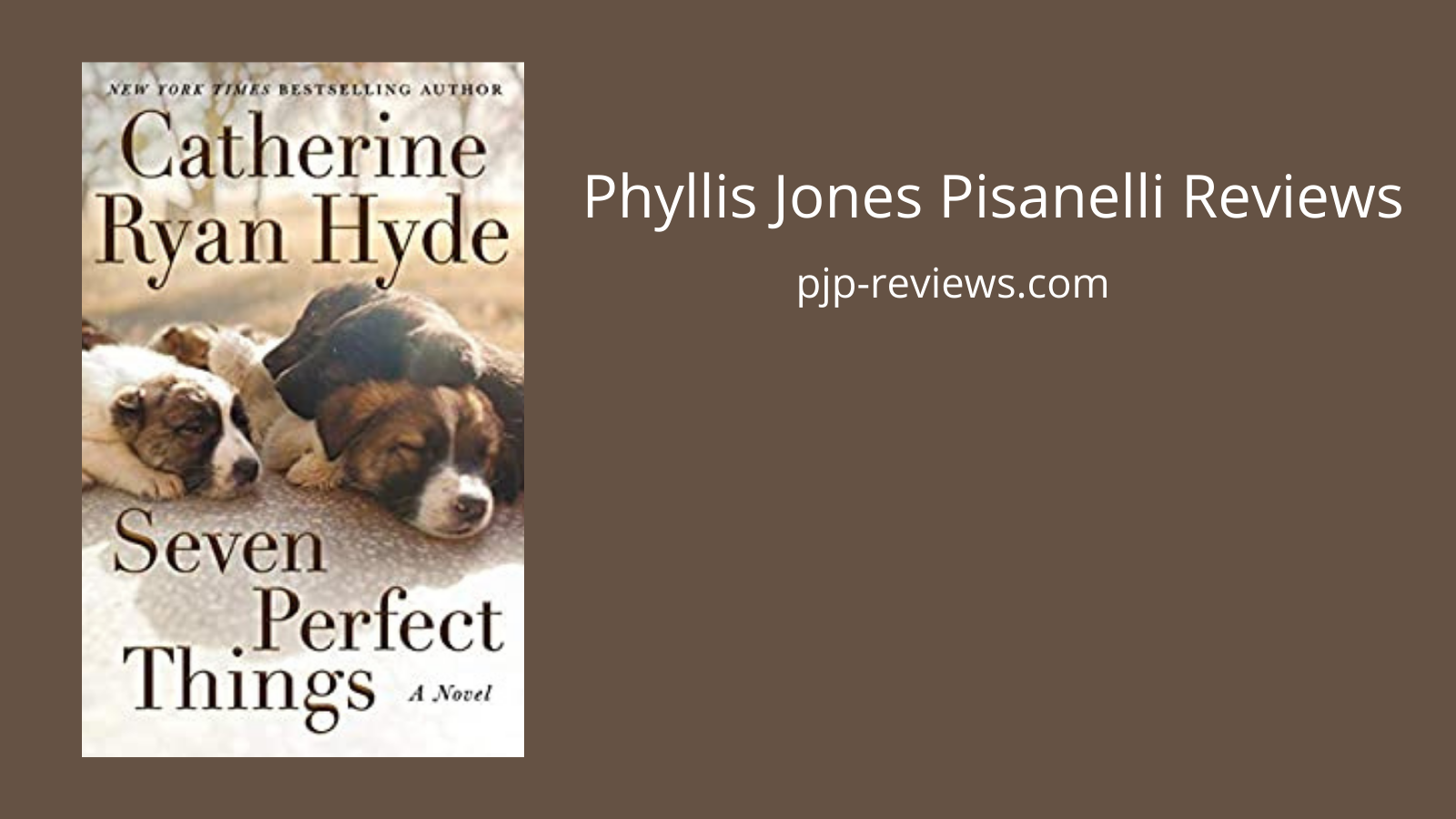 Seven Perfect Things by Catherine Ryan Hyde ~ 5⭐ | Phyllis Jones ...